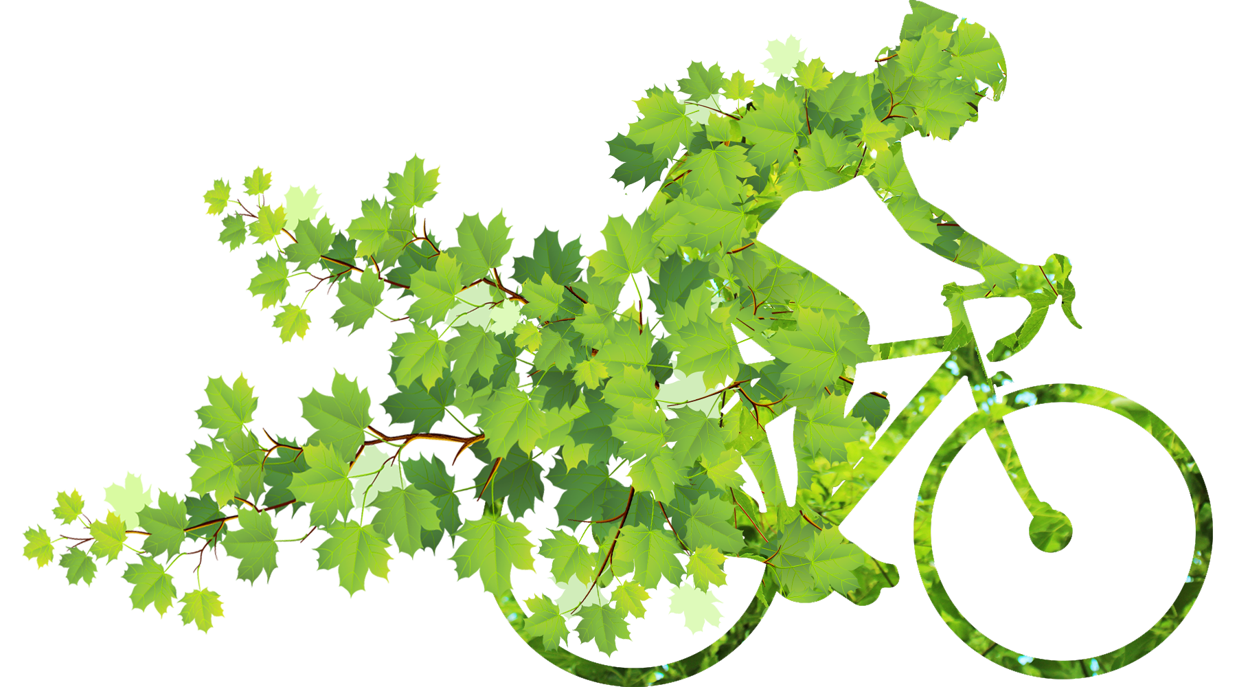 PLT Canada's Green Ride for Green Jobs - Project Learning Tree Canada