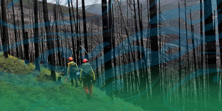 Forestry Technician - Project Learning Tree Canada