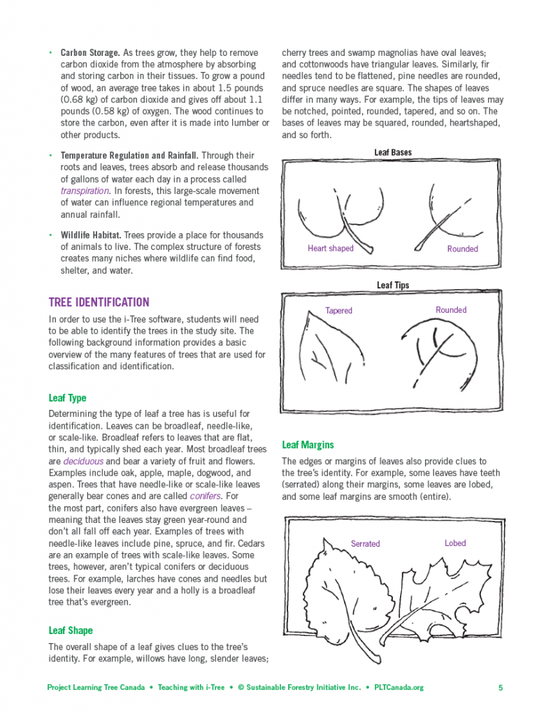 Teaching with i-Tree - Project Learning Tree Canada