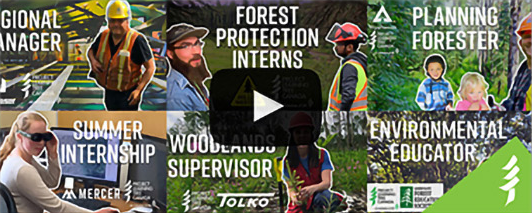 Home | Project Learning Tree Canada - Project Learning Tree Canada