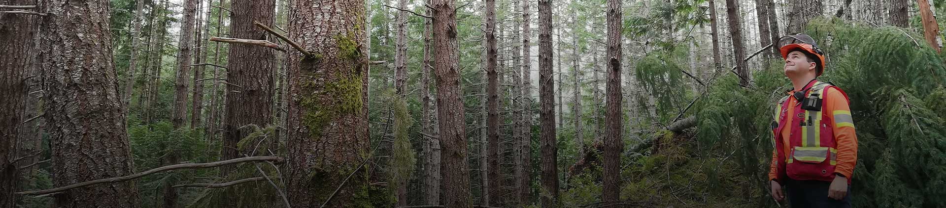 Home | Project Learning Tree Canada - Project Learning Tree Canada