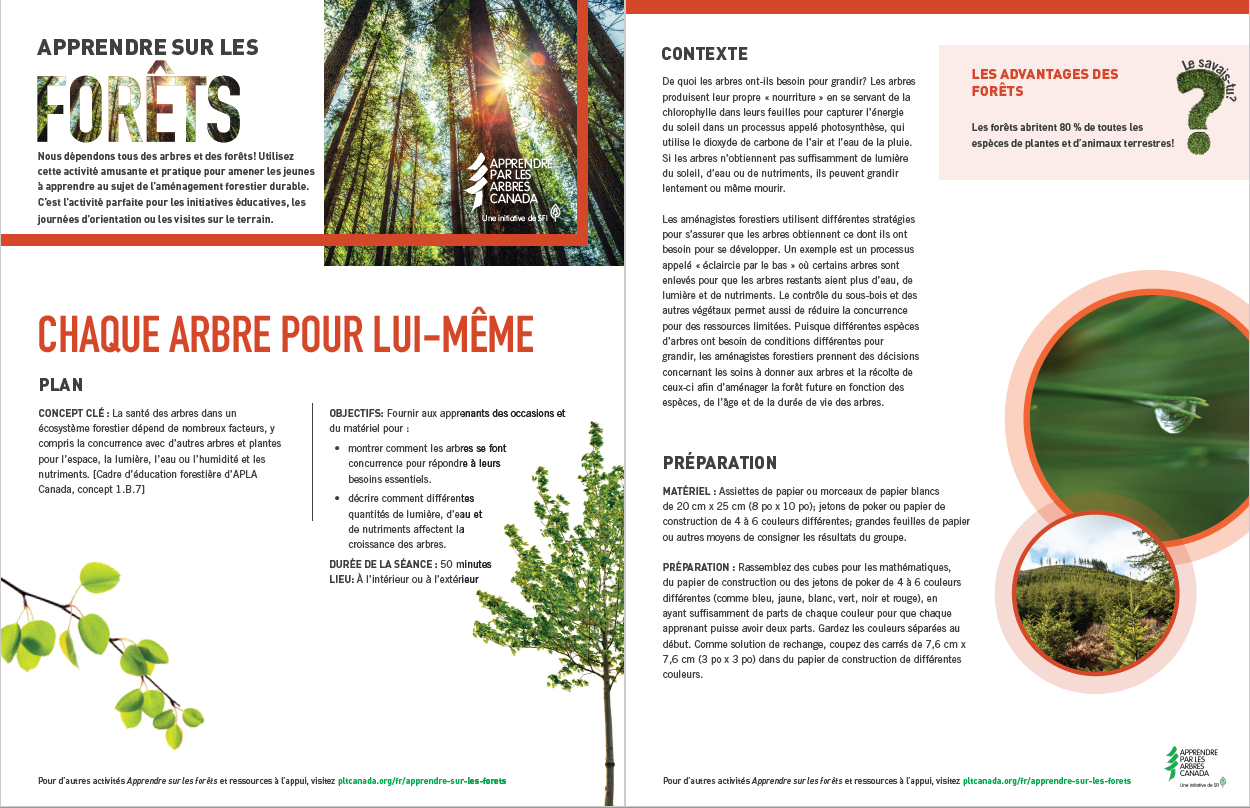 Apprendre sur les forêts - Apprendre par les arbres Canada