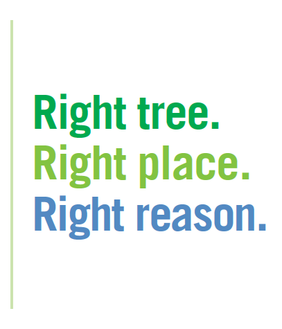 Trillions of Trees - Project Learning Tree Canada