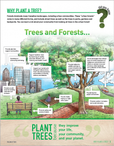 Trillions of Trees Activity Collection - Project Learning Tree Canada
