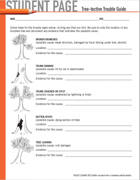 Trillions of Trees Activity Collection - Project Learning Tree Canada