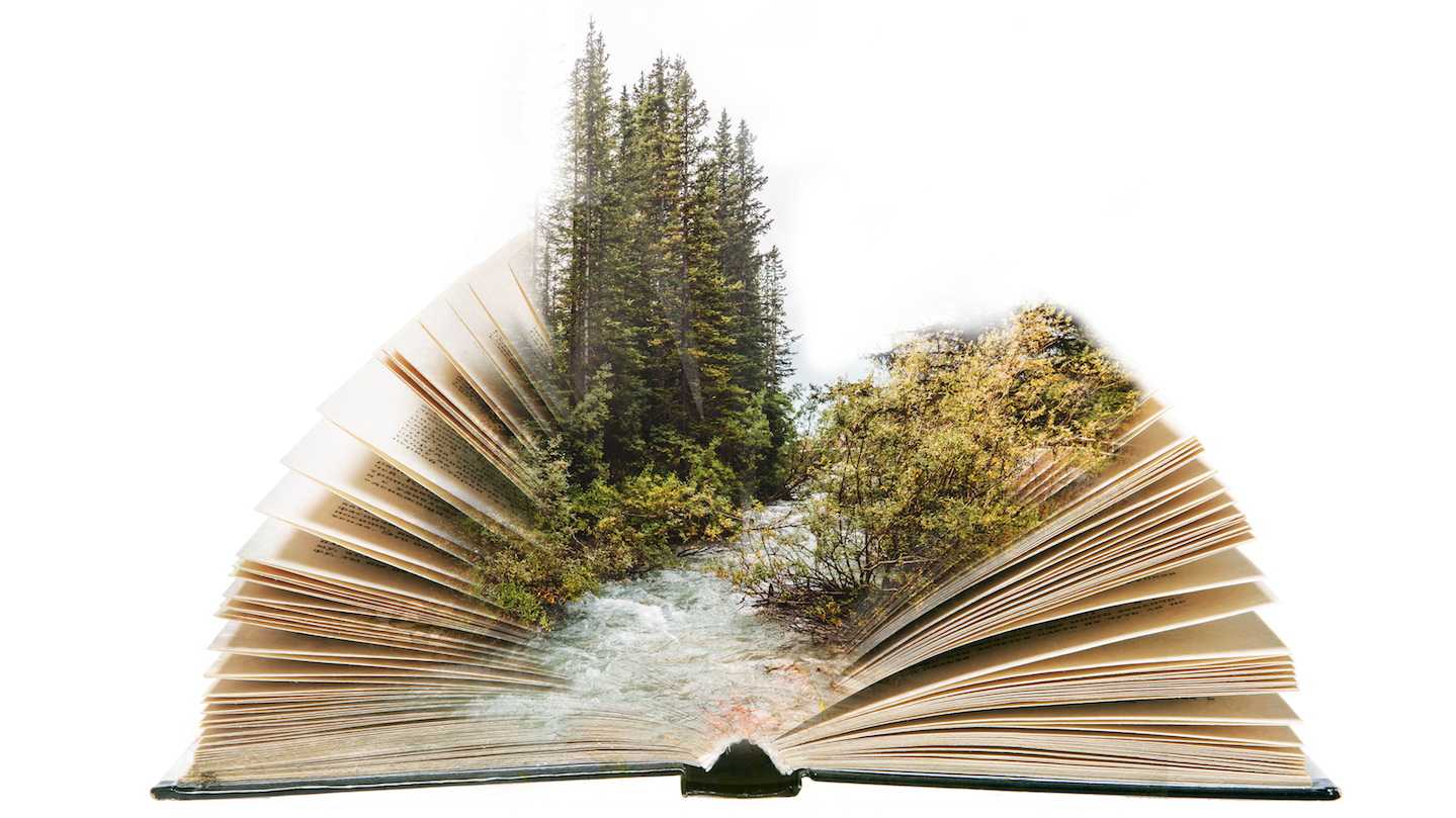 Resources for Climate Change & Forests: From Seed to Carbon Sink E-Unit ...