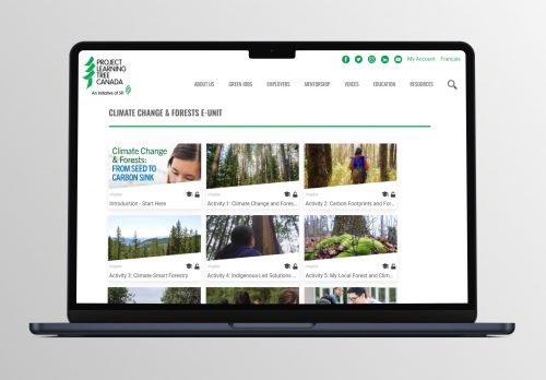 Climate Change and Forests: From Seed to Carbon Sink E-Unit - Project ...