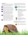 Explore Your Environment: K-8 Activity Guide - Project Learning Tree Canada