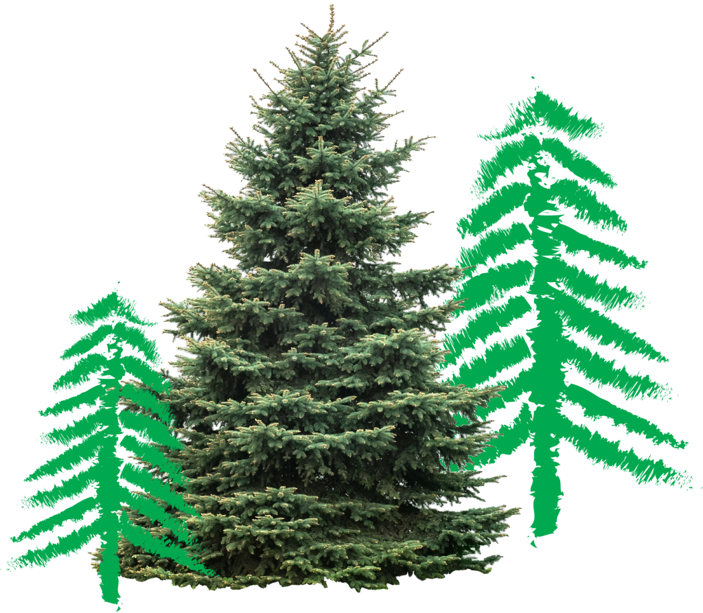 Resources for My Trees & Me Guide - Project Learning Tree Canada