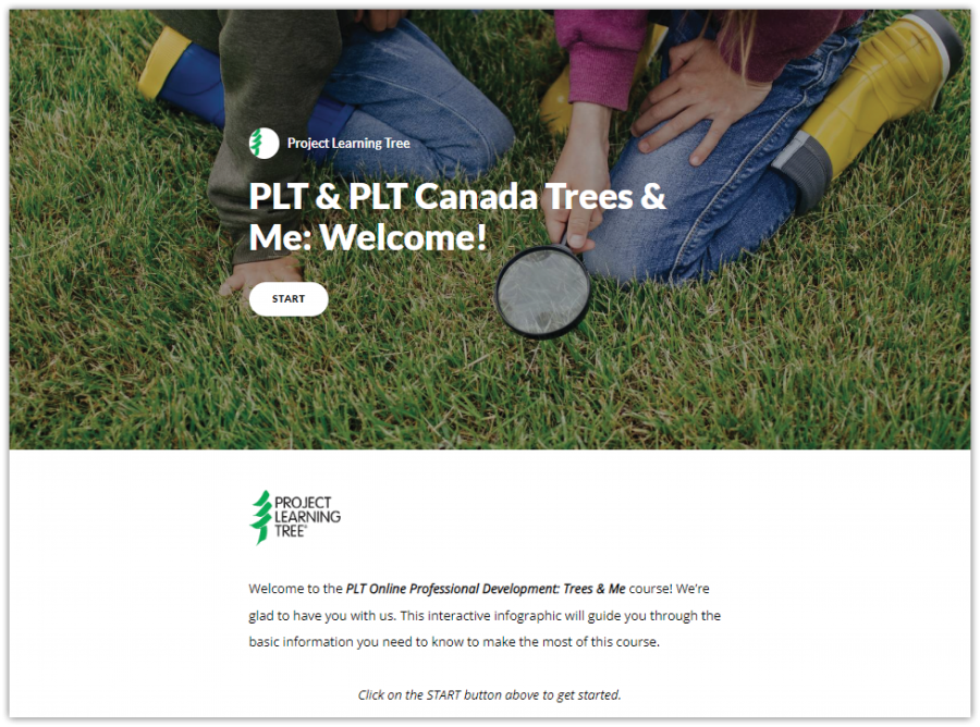 Professional Development: Trees & Me - Exploring Nature with Young ...