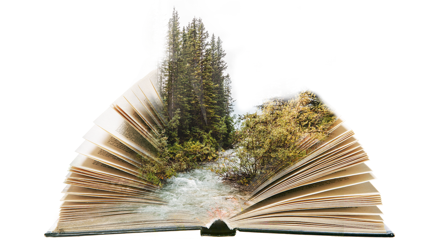 Media Kit - Project Learning Tree Canada